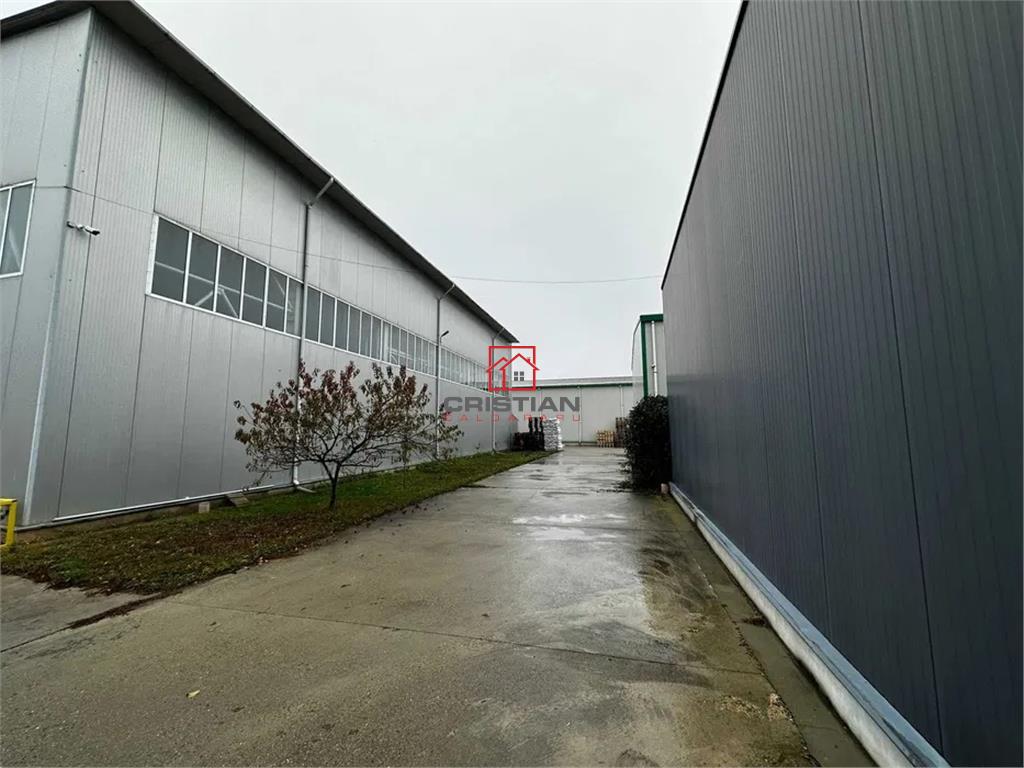 Vanzare depozit/hala/spatiu industrial Theodor Pallady - Drumul Intre ...